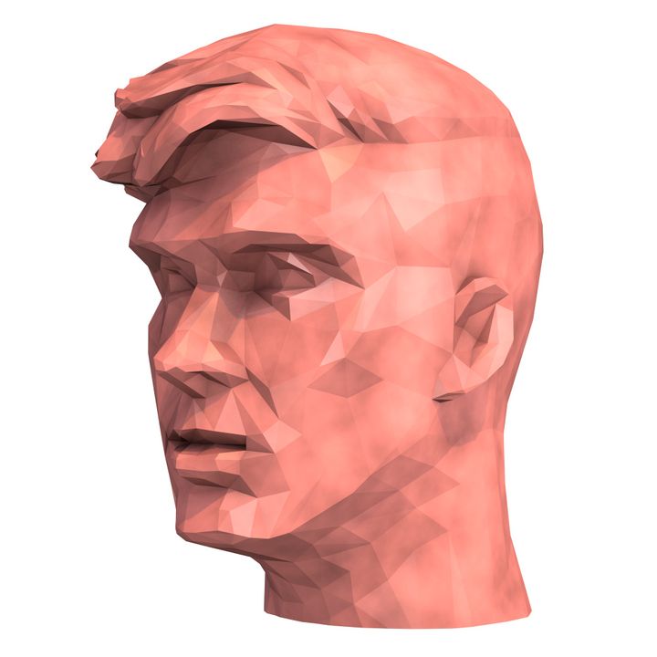 3D Printable Man Head Low Poly by 1xMerch